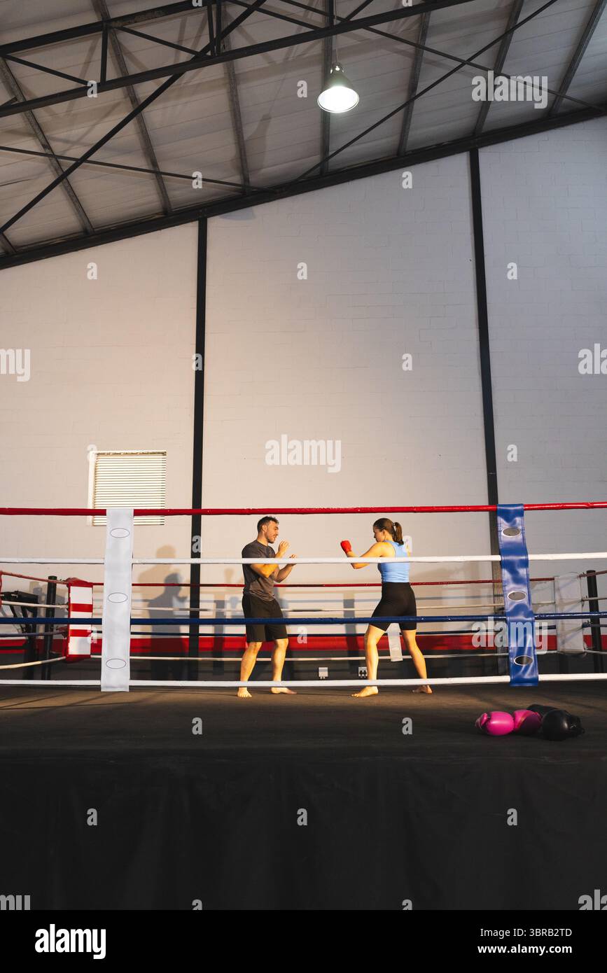 Training partners sparring in boxing ring at gym under hanging light with pink boxing gloves ...
