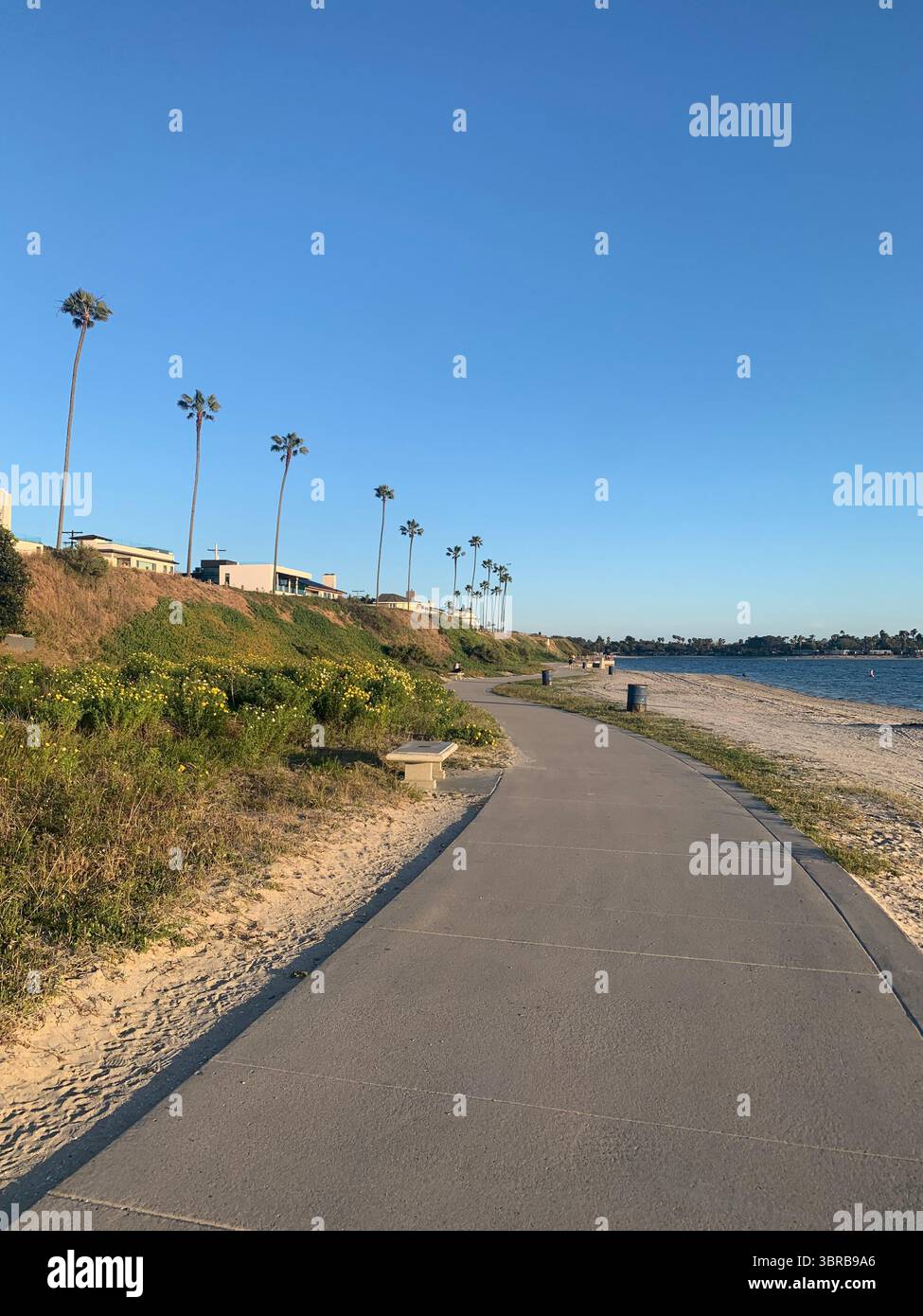 Sunny Walking/Bike Path with Palm Trees by San Diego Bay Stock Photo ...