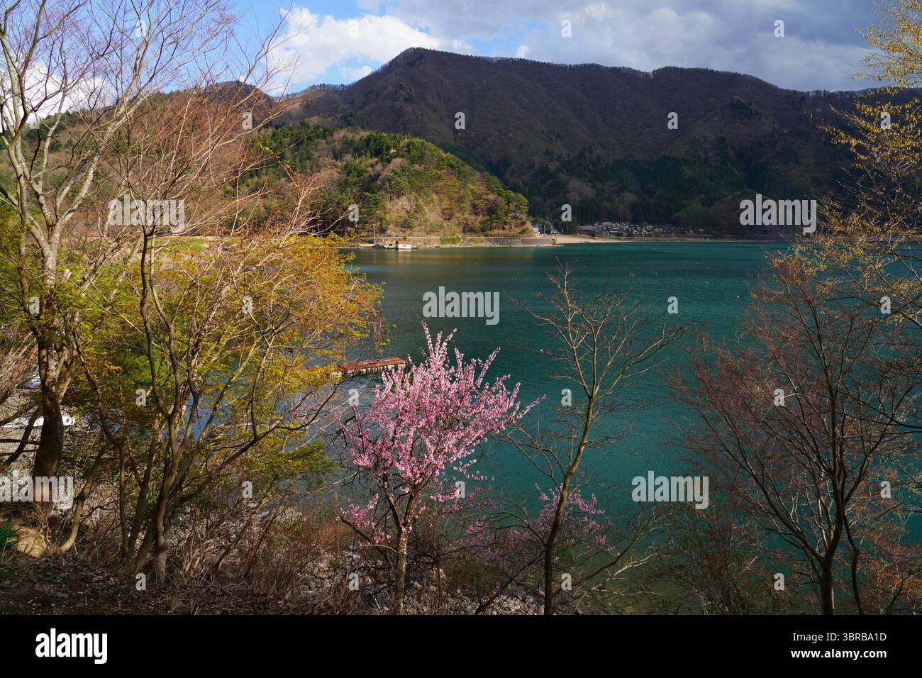 Spring view of Lake Saiko (Western Lake), one of the Fuji Five Lakes ...