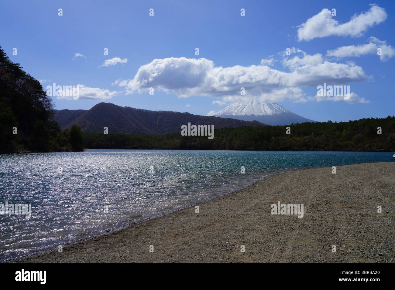 Spring view of Lake Saiko (Western Lake), one of the Fuji Five Lakes ...