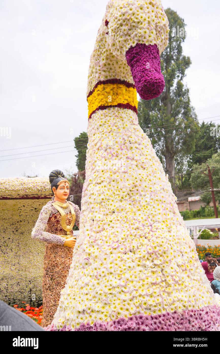 Ooty floral expo hi-res stock photography and images - Alamy