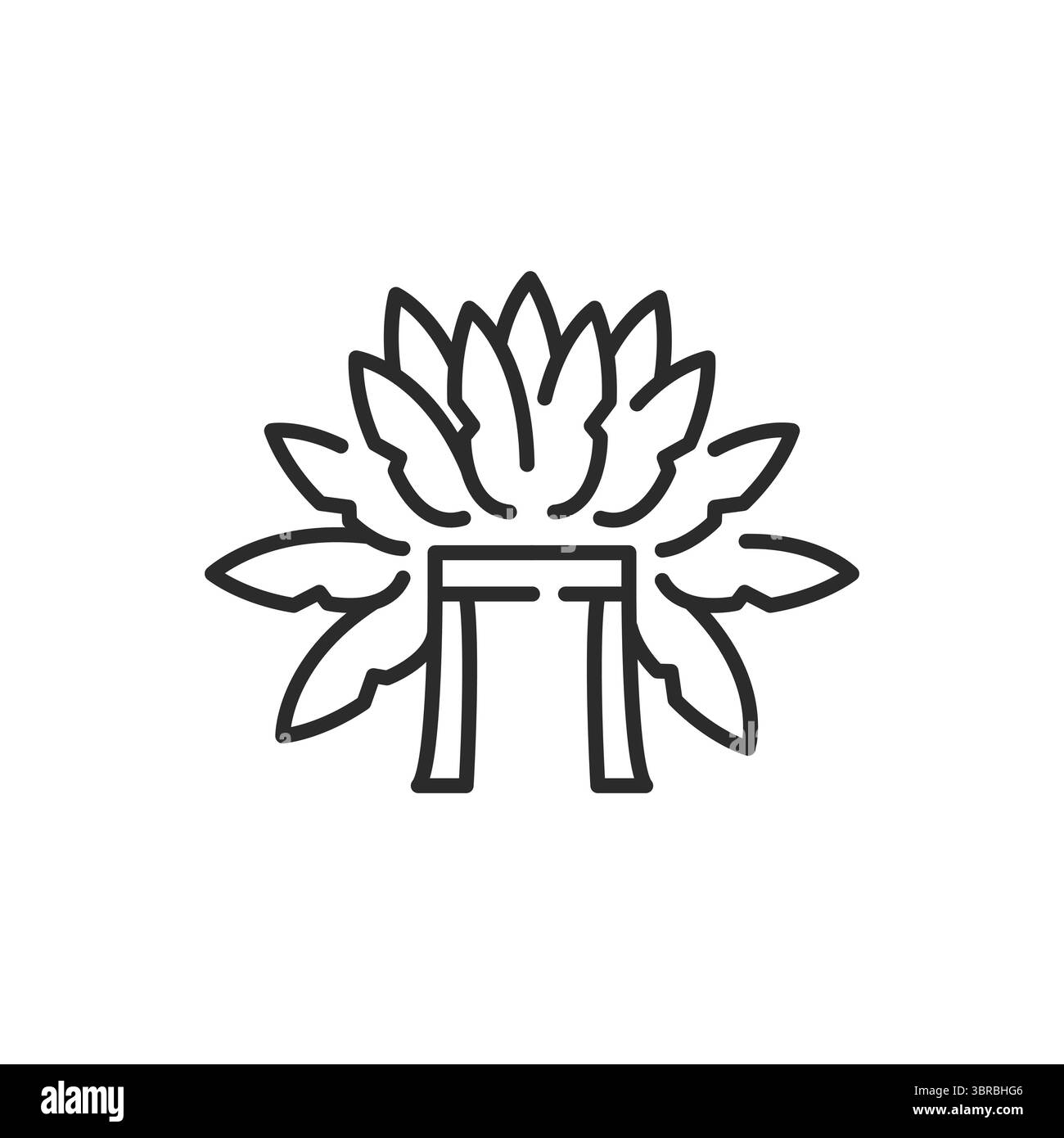 Tribal mask feather design hi-res stock photography and images - Alamy