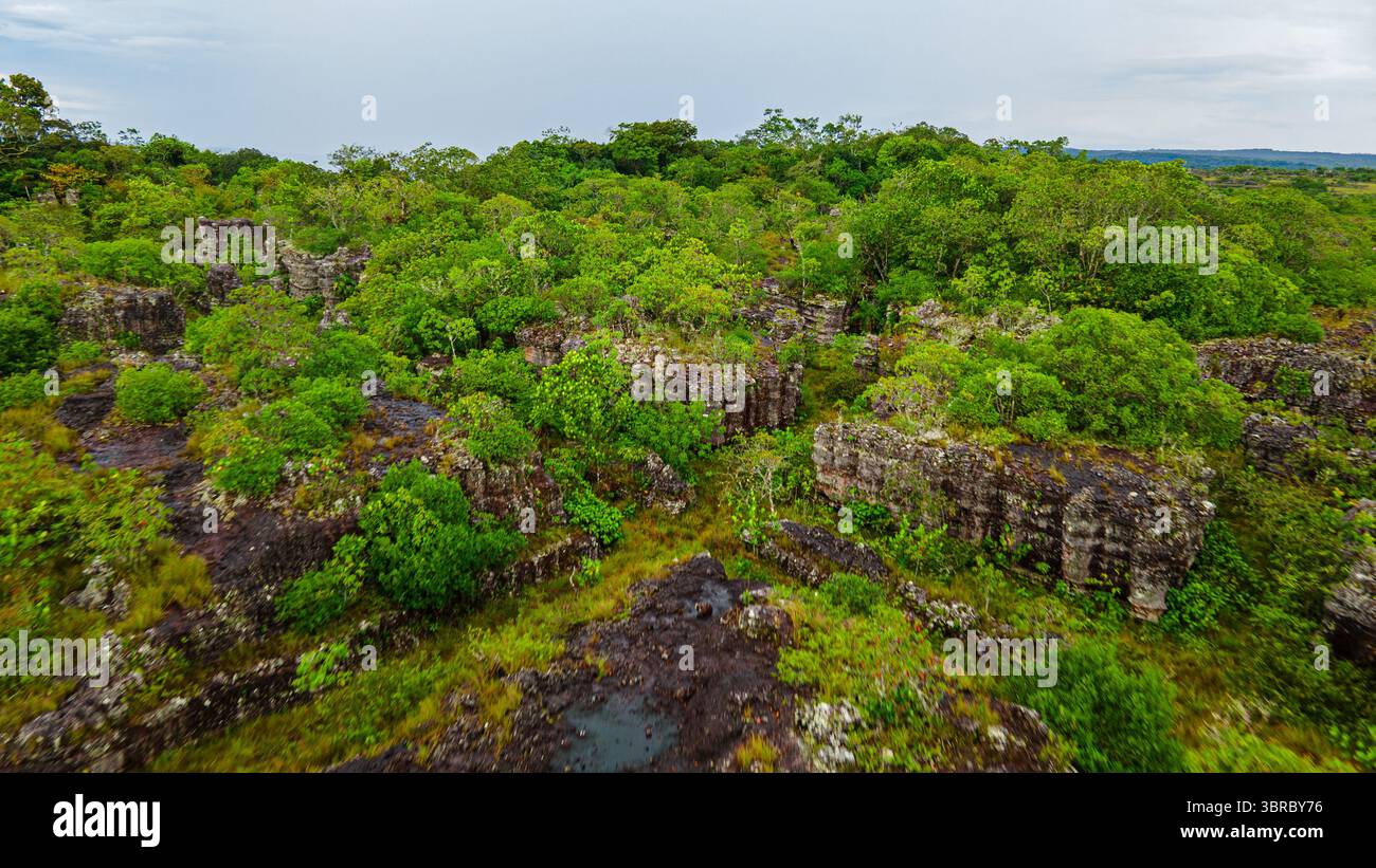 Aerial view of ancient stone ruins surrounded by dense greenery in ...