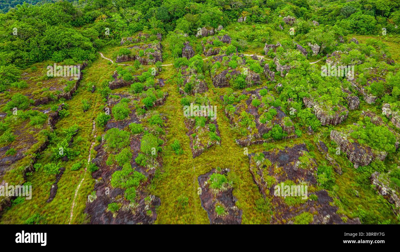 Explore the lush landscapes of Guaviare, Colombia, featuring ancient ...