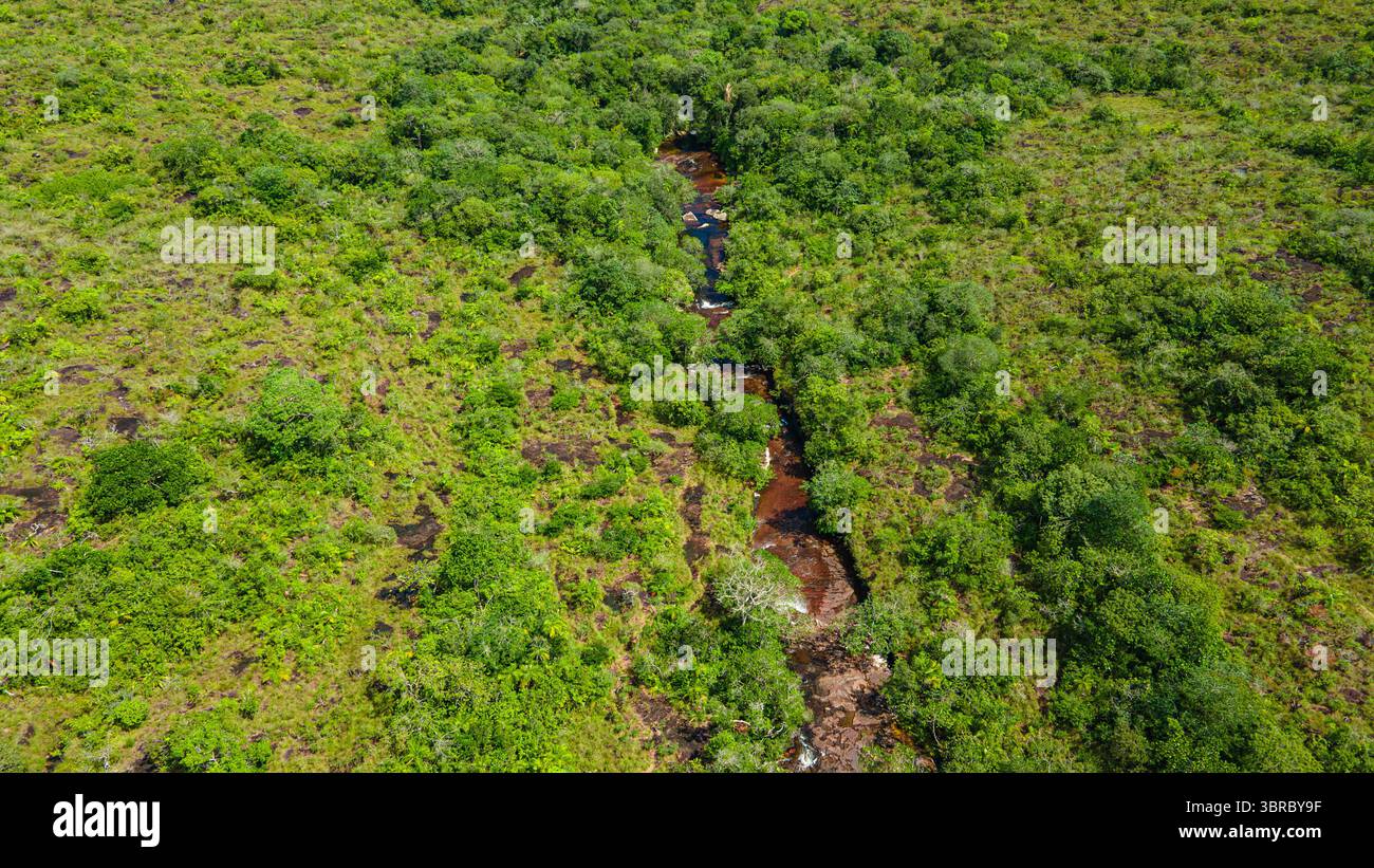 Stunning aerial view of a dense green forest and a flowing river in ...
