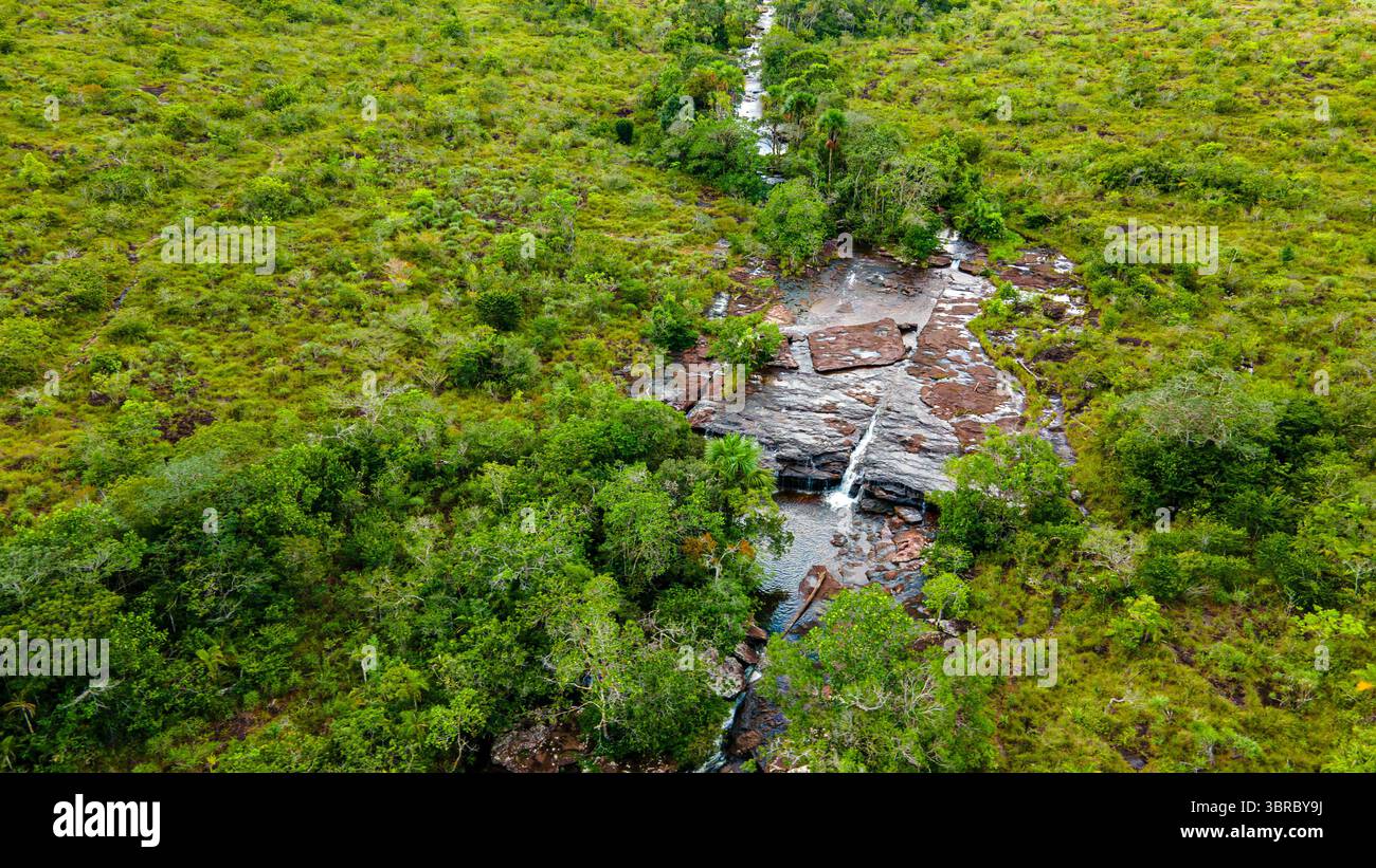 Aerial view of a serene stream flowing through dense greenery in ...