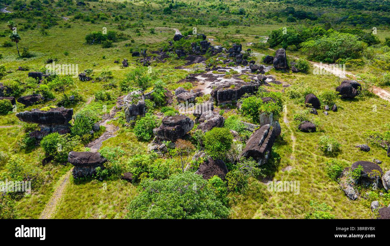 Explore the breathtaking landscapes of Guaviare, Colombia, showcasing ...