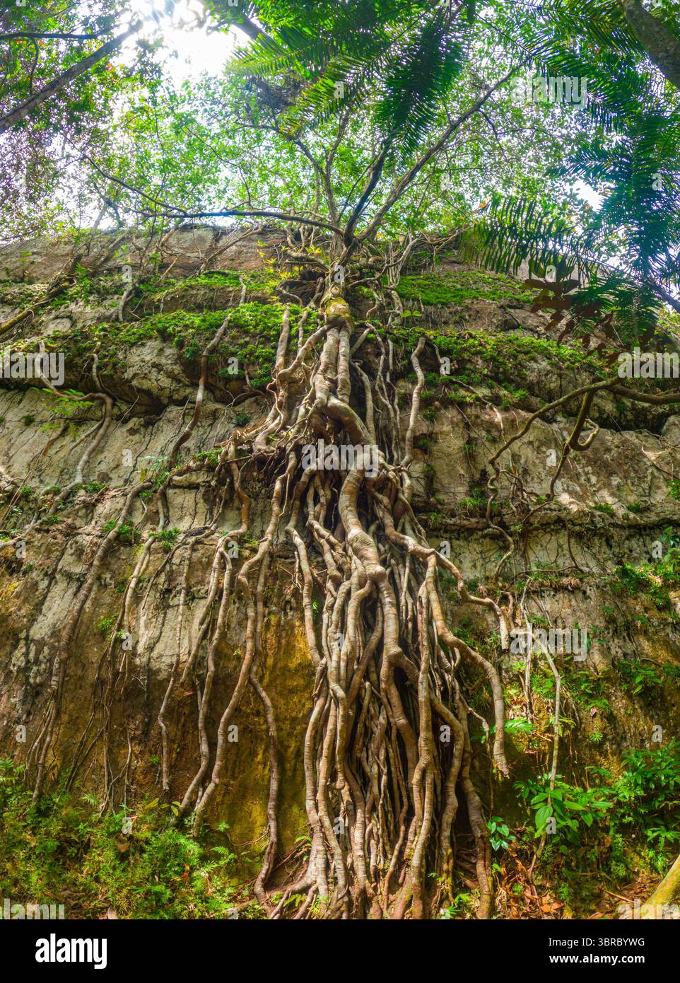 Hidden gems colombia hi-res stock photography and images - Alamy