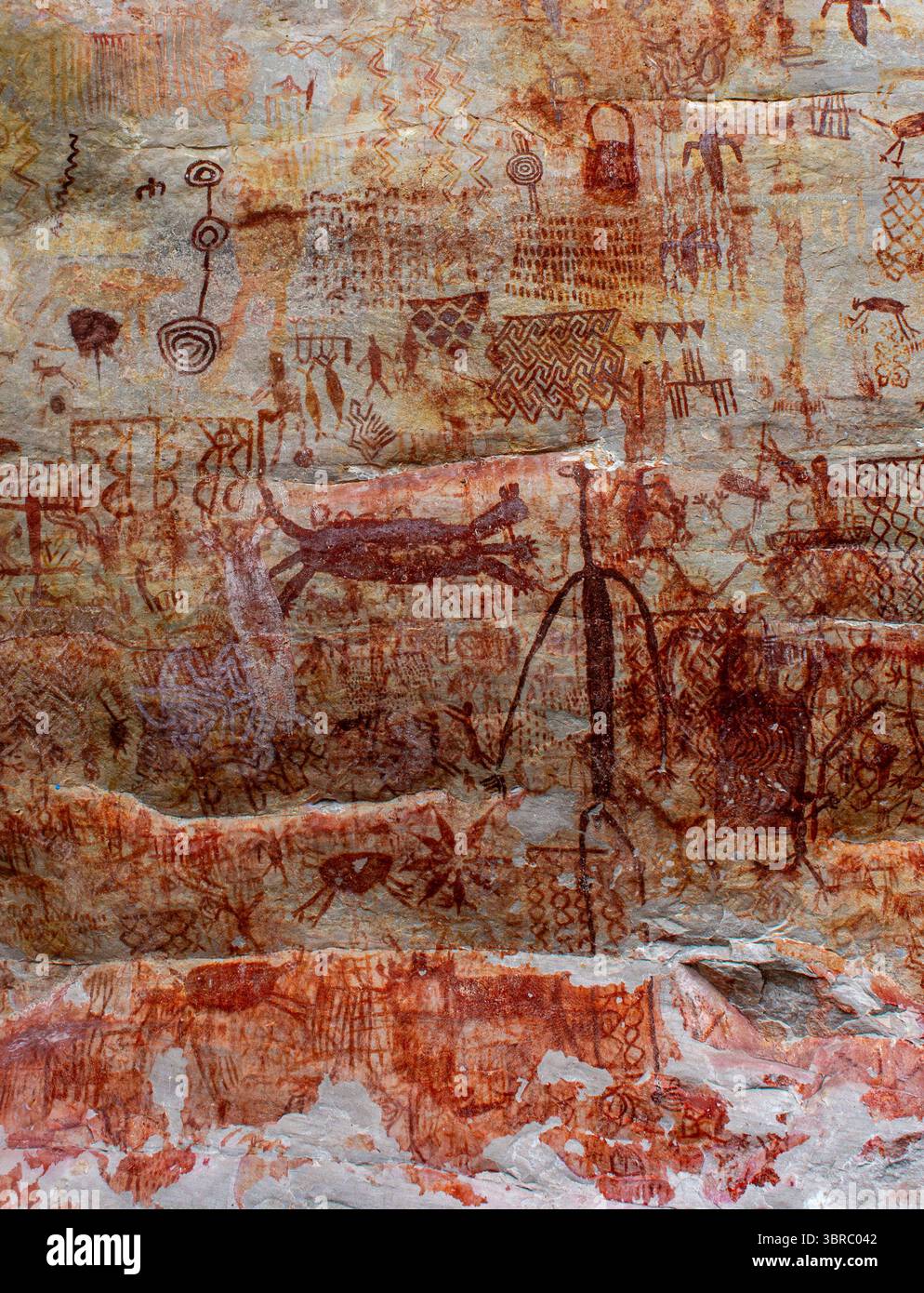 Vibrant petroglyphs and cave paintings depicting animals and symbols in ...