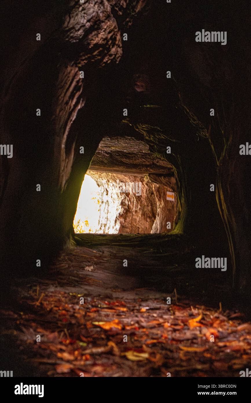 Captivating view cave entrance hi-res stock photography and images - Alamy