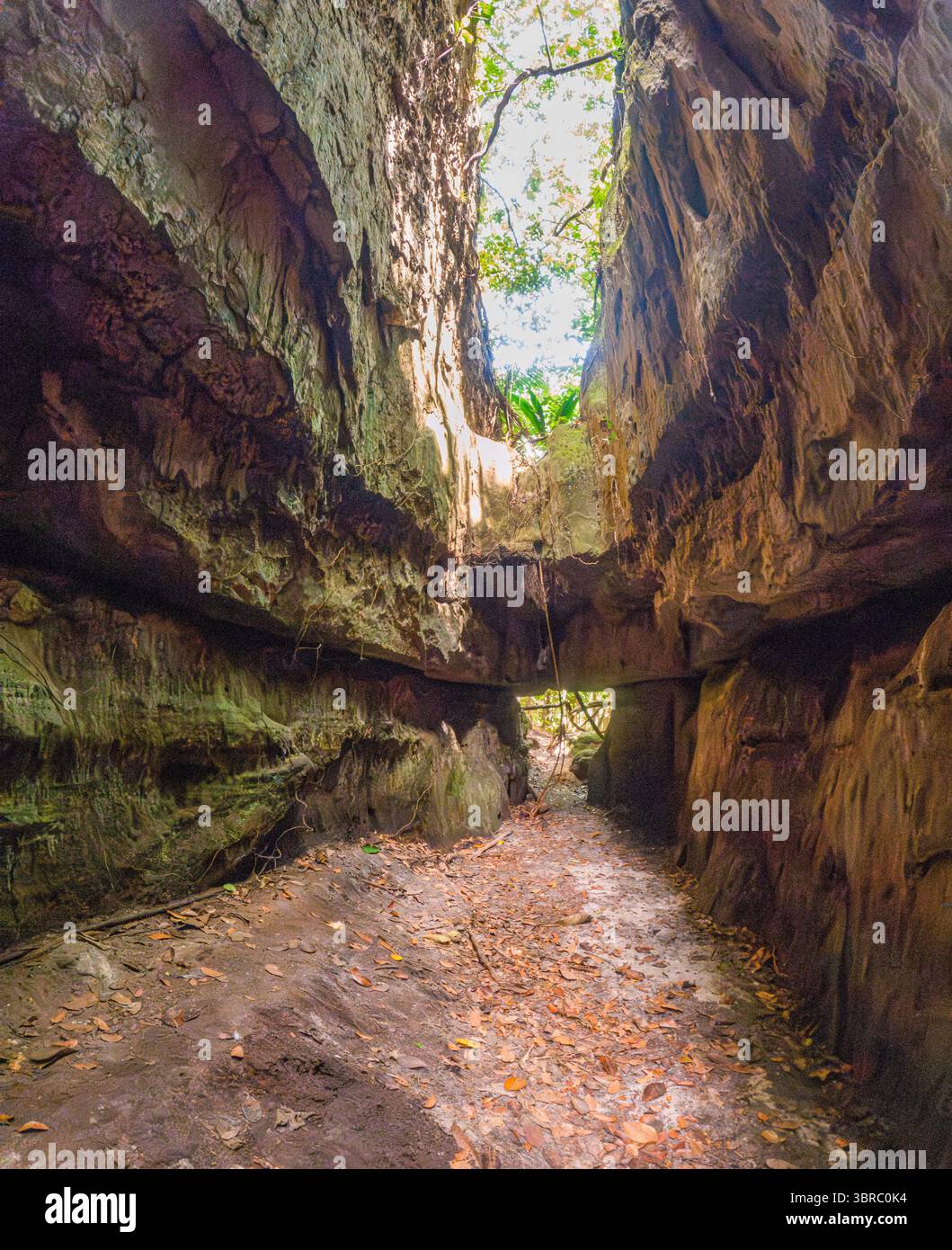 Exploring a stunning natural canyon with towering rock walls and lush ...