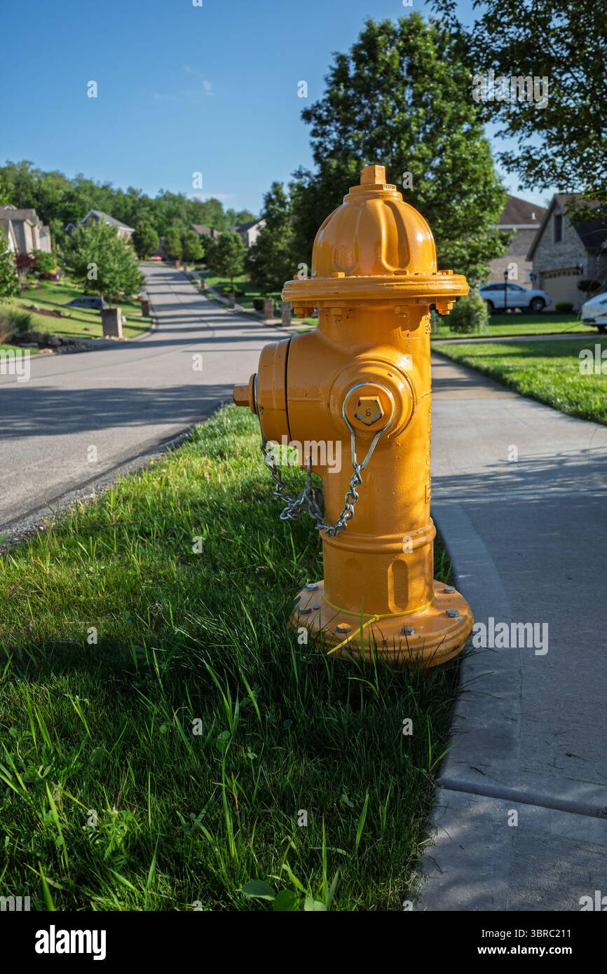 A vibrant yellow fire hydrant stands prominently on a residential ...