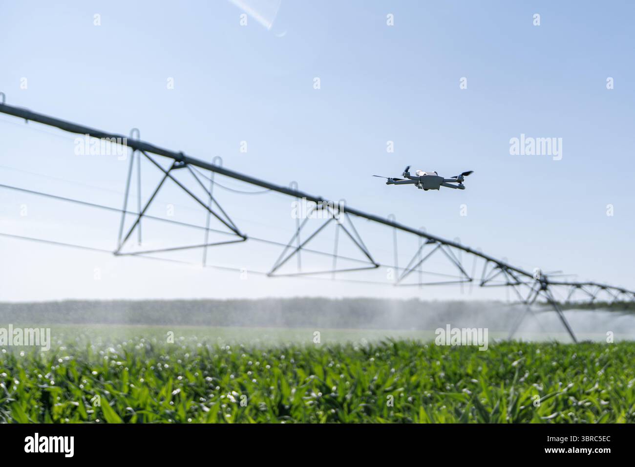 Drone controls pivot irrigation system on an agricultural field Stock ...