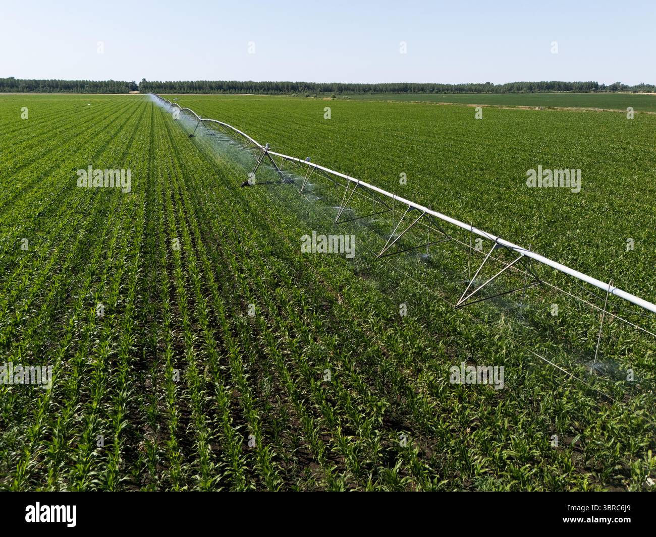 Aerial view of agricultural watering pivot irrigation system on a corn ...