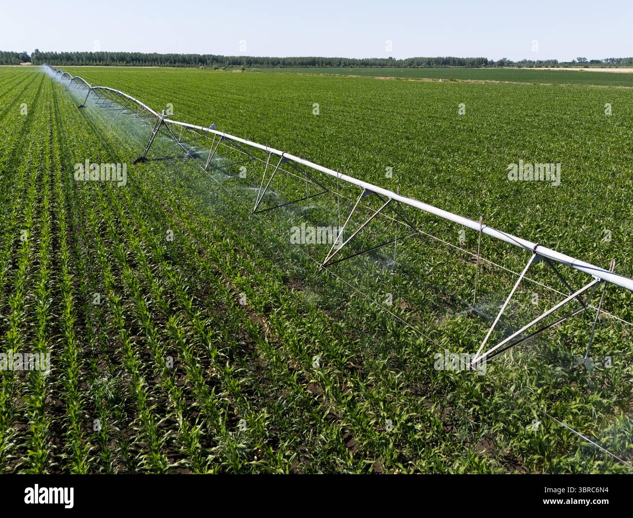 Aerial view of agricultural watering pivot irrigation system on a corn ...