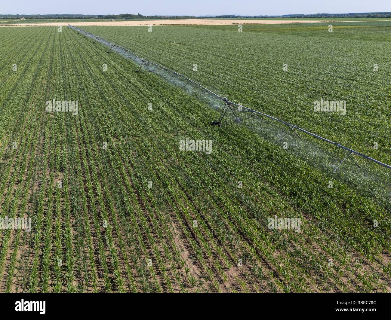 Aerial view of agricultural watering pivot irrigation system on a corn ...