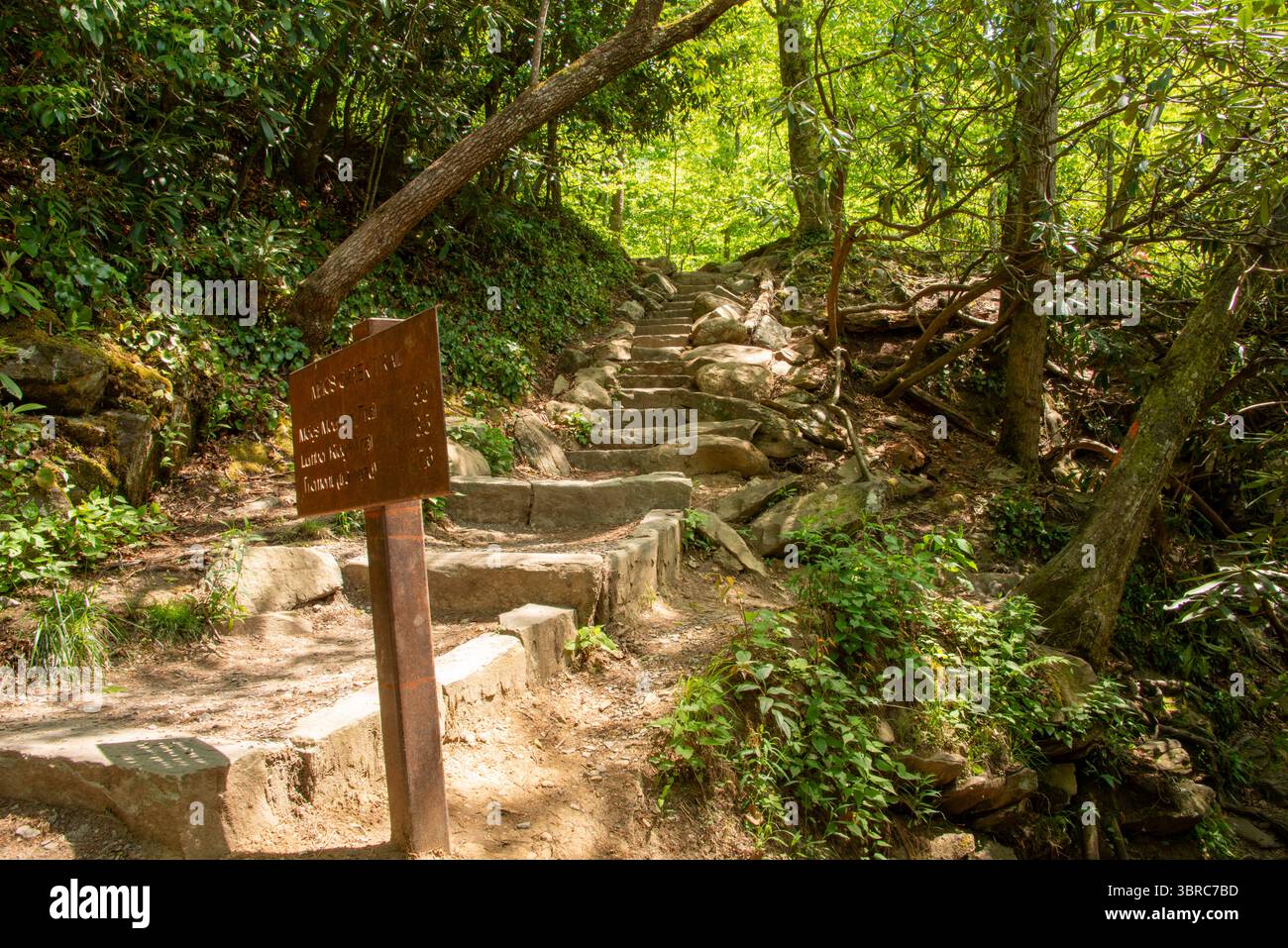 Scenic landscapes across diverse seasons in Cades Cove, Great Smoky ...