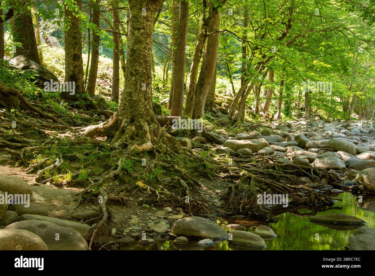 Scenic landscapes across diverse seasons in Cades Cove, Great Smoky ...