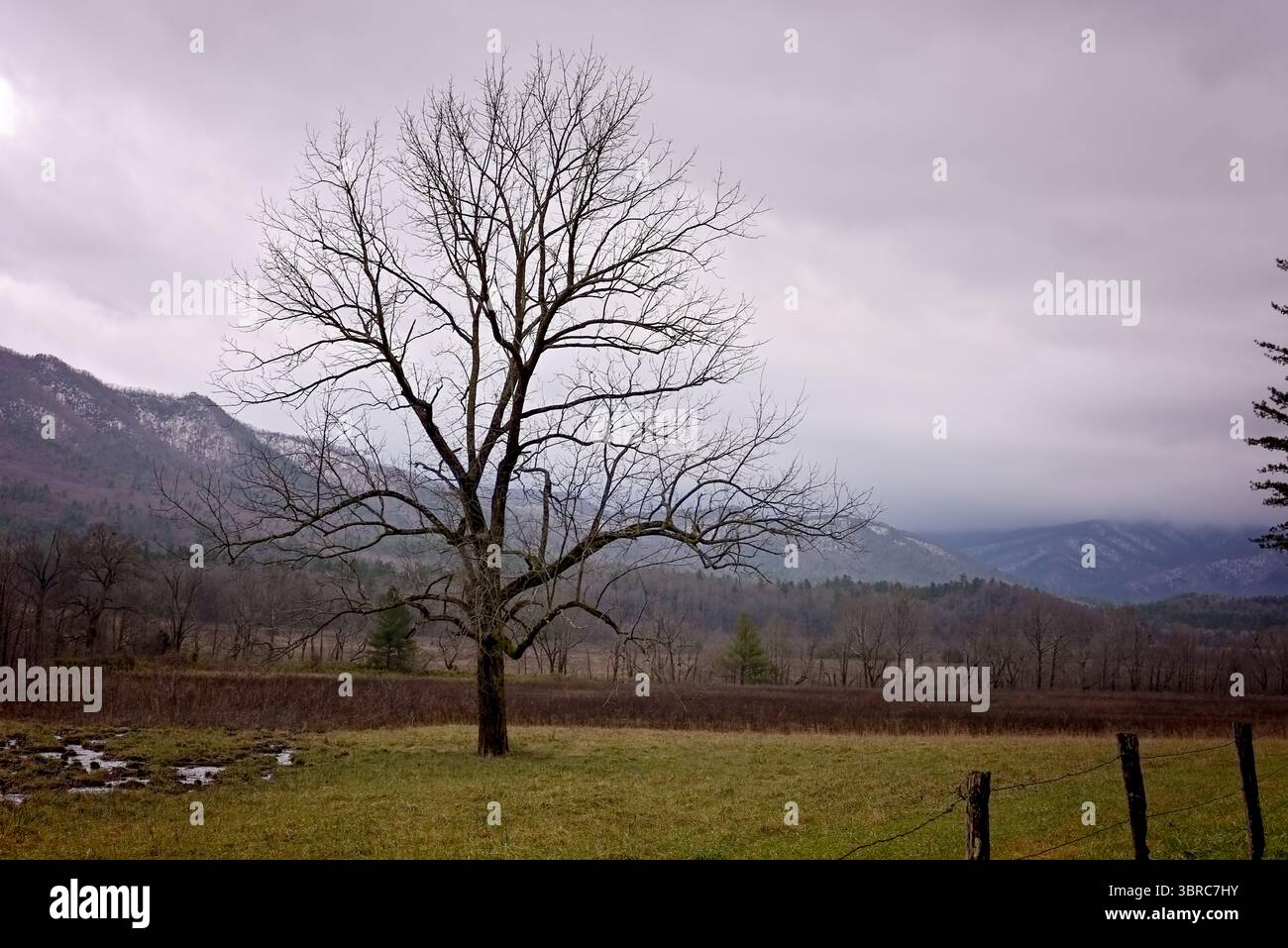 Scenic landscapes across diverse seasons in Cades Cove, Great Smoky ...