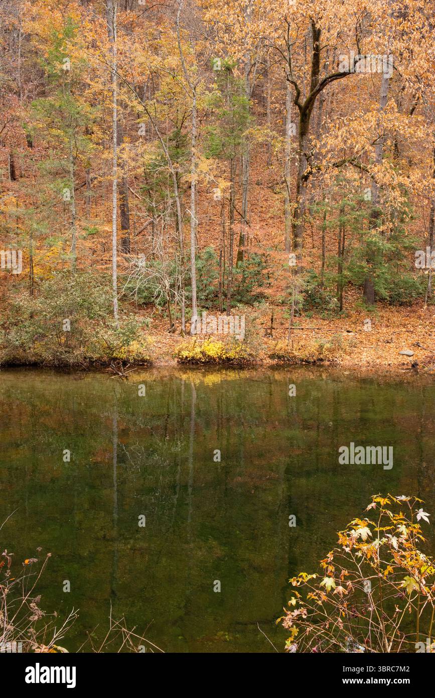 Scenic landscapes across diverse seasons in Cades Cove, Great Smoky ...
