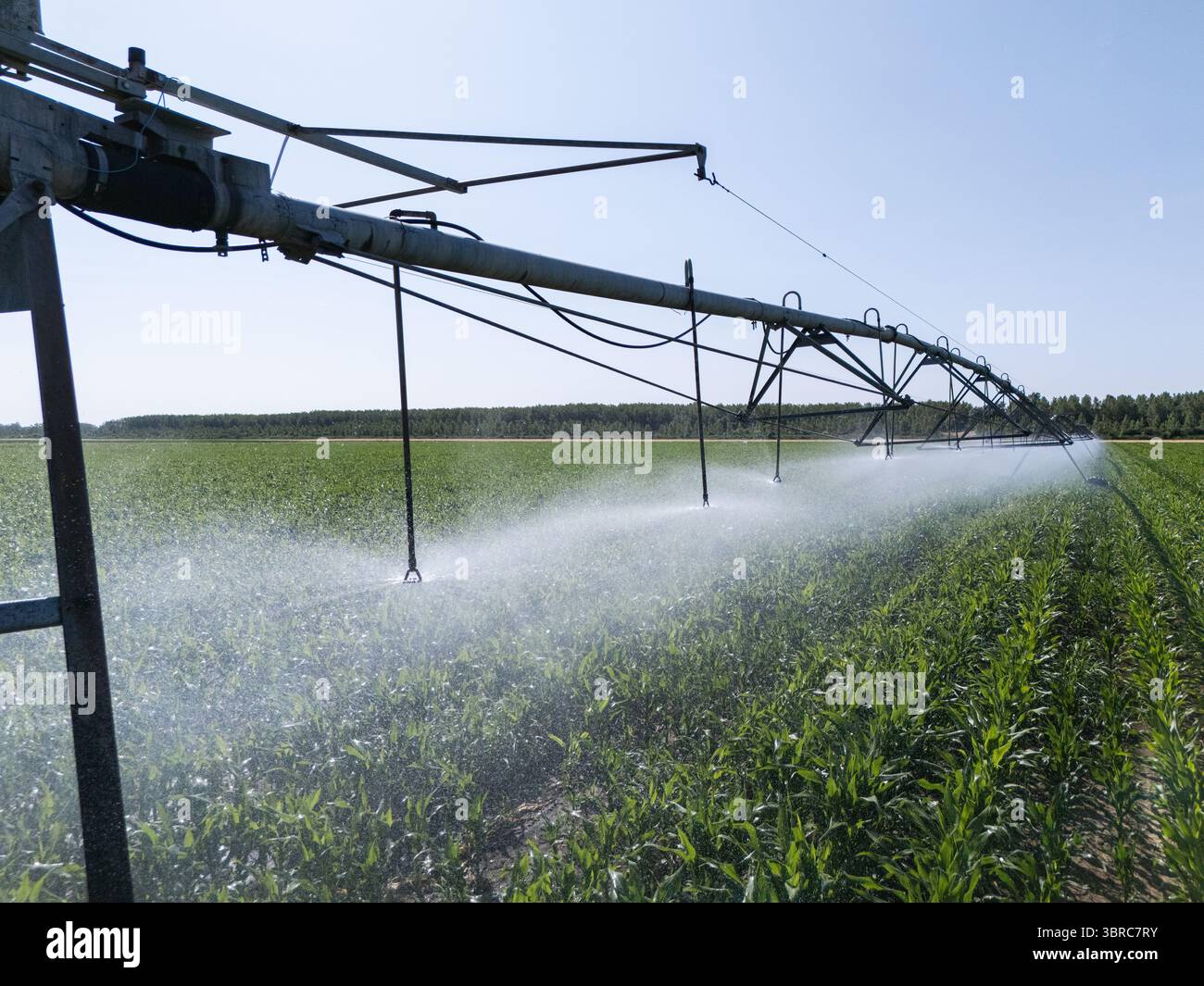 Agricultural pivot irrigation system on a corn field Stock Photo - Alamy