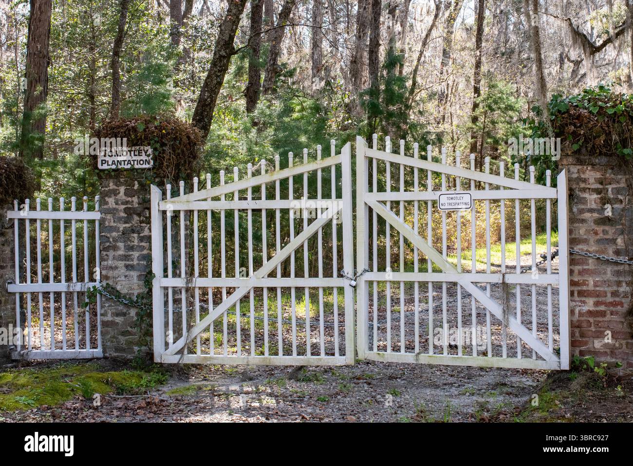 Tomotley plantation hi-res stock photography and images - Alamy