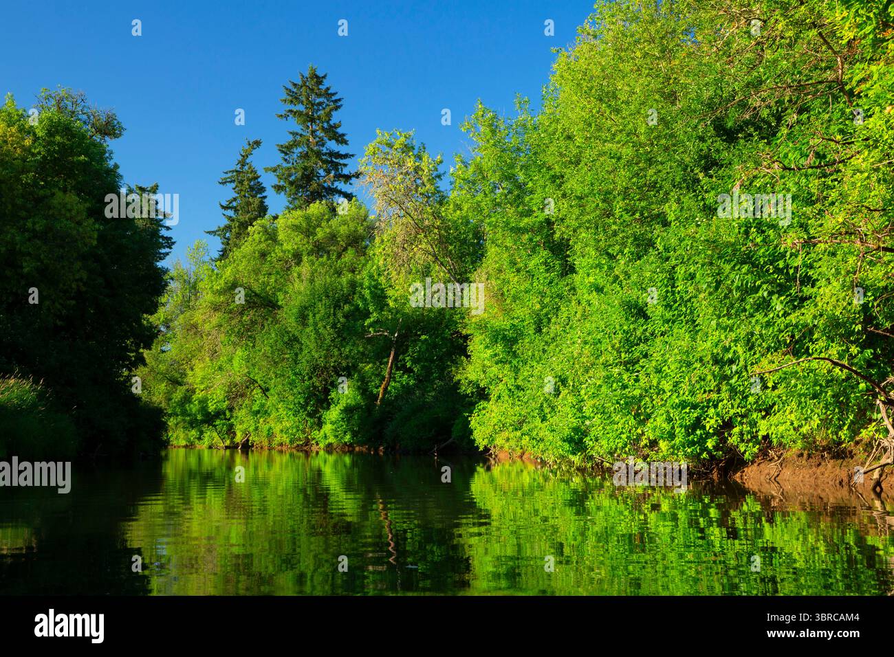 Tualatin River, Tualatin River Water Trail, Farmington Paddle Launch ...