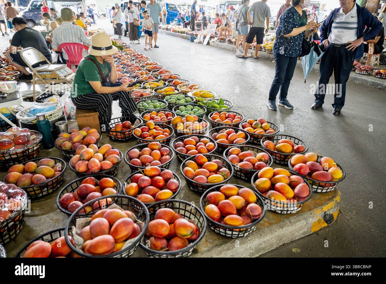 Tainan, Taiwan – Jun 30, 2025: Display of fresh mangoes at Yujing Fruit ...