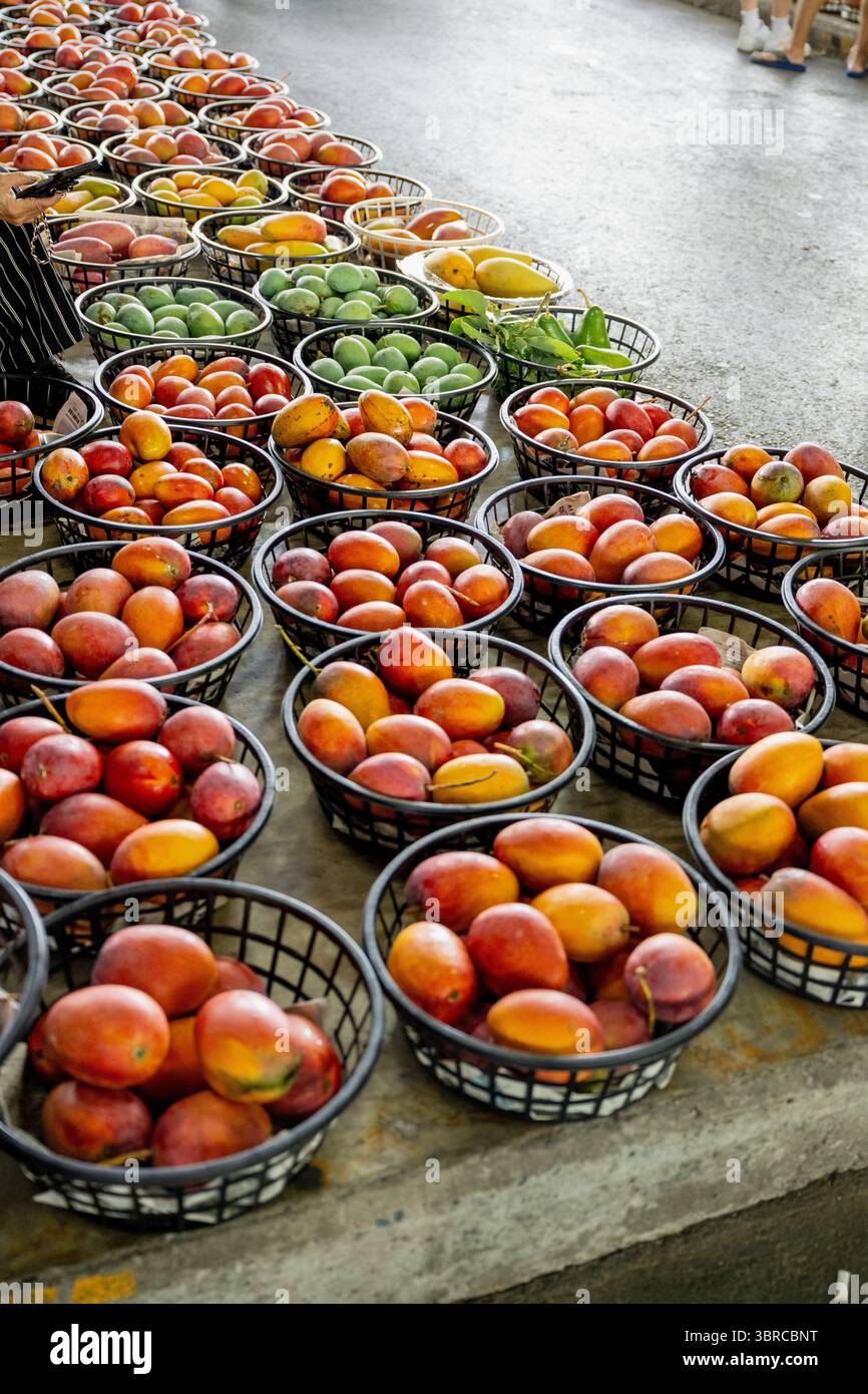 Tainan, Taiwan – Jun 30, 2025: Display of fresh mangoes at Yujing Fruit ...