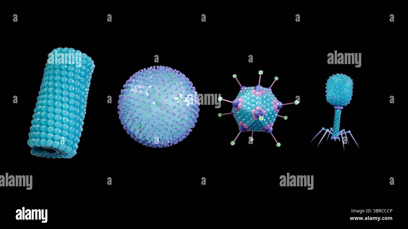 Icosahedral virus diagram hi-res stock photography and images - Alamy