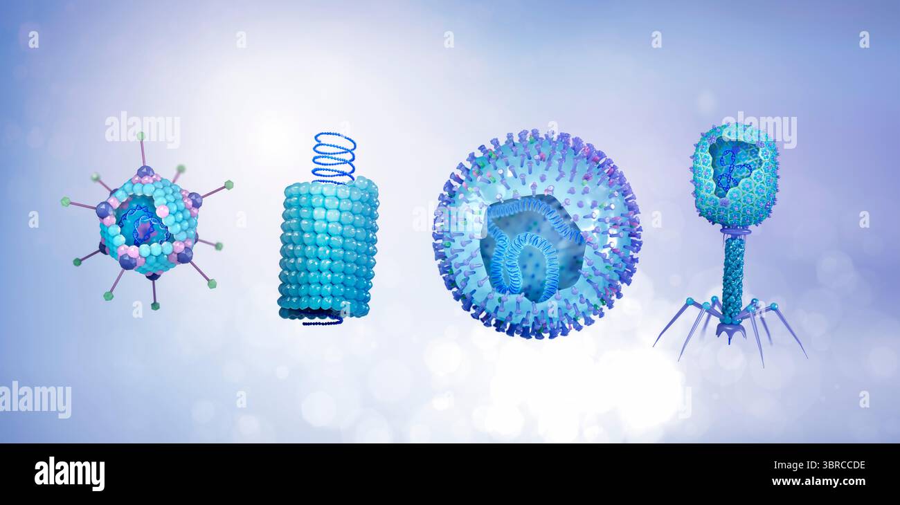 Illustration of virus types by shape. From left to right they are ...