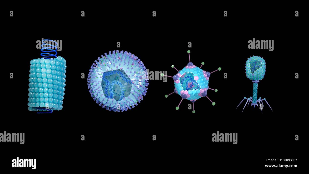 Illustration of virus types by shape. From left to right they are ...