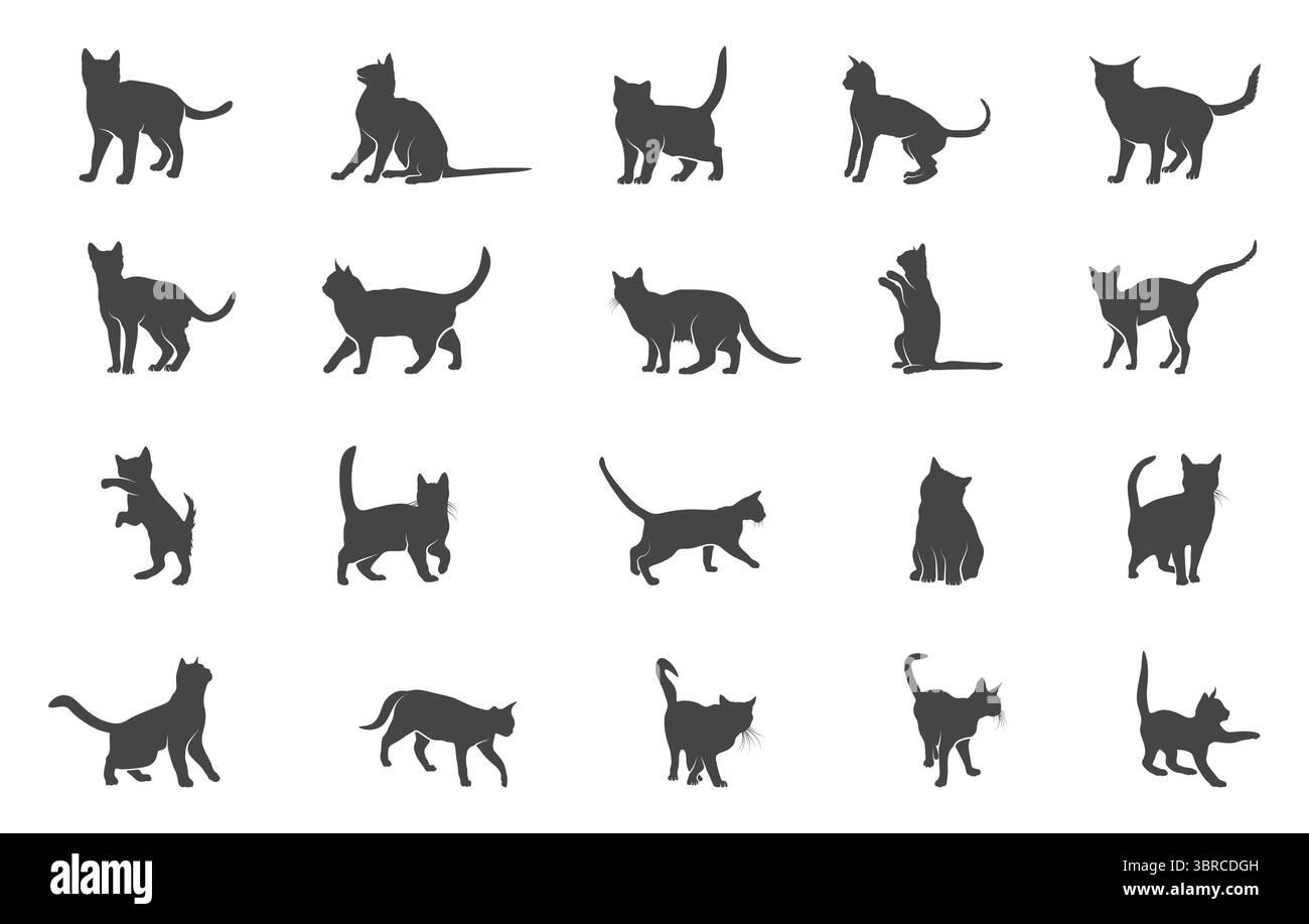 Cat svg, Cat silhouette, Cat walking svg, Cat walking silhouette, Black ...