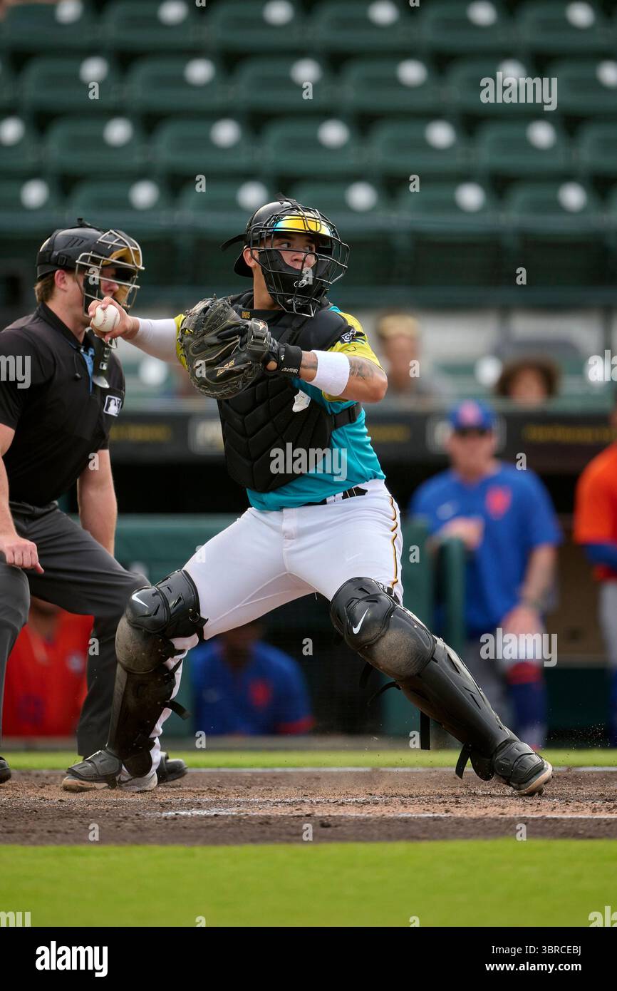 Bradenton Barbanegras first baseman Richard Ramirez (29) throws down to ...
