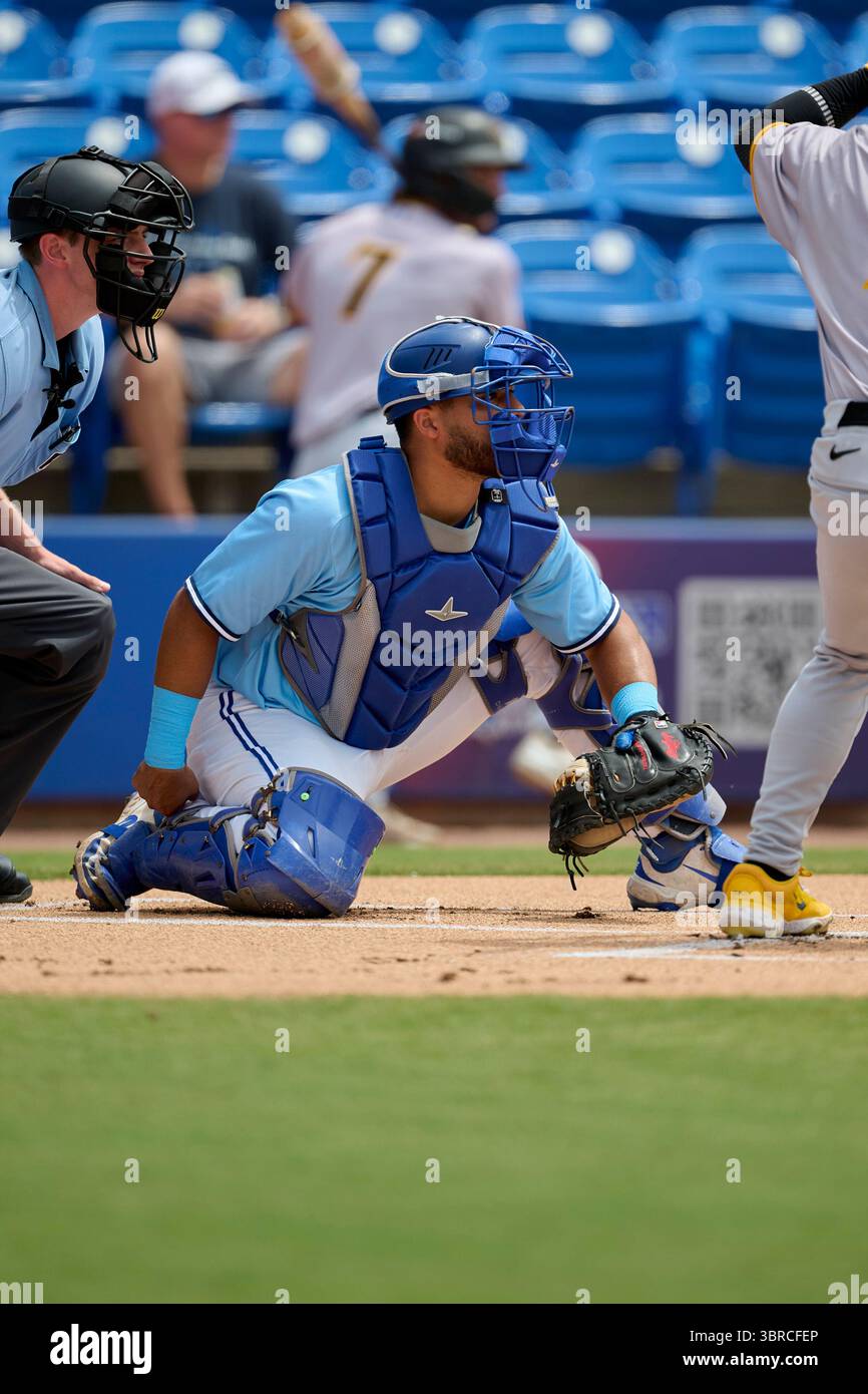 Dunedin Blue Jays catcher Edward Duran (12) during an MiLB Florida ...