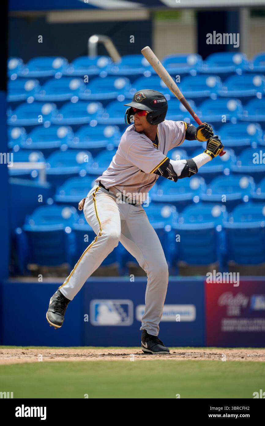 Bradenton Marauders Edward Florentino (15) bats during an MiLB Florida ...