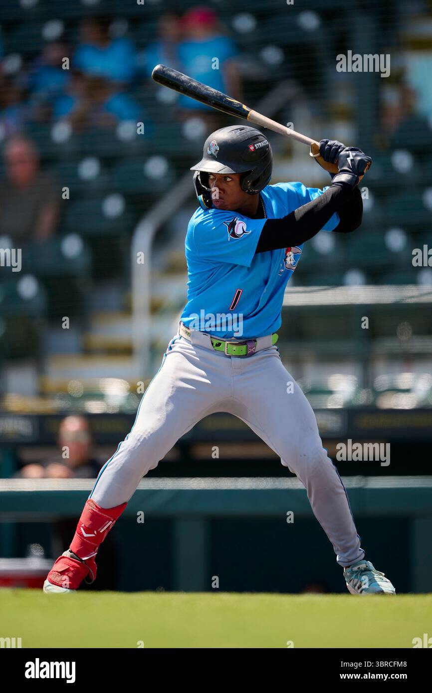 Jupiter Hammerheads Dillon Head (1) bats during an MiLB Florida State ...