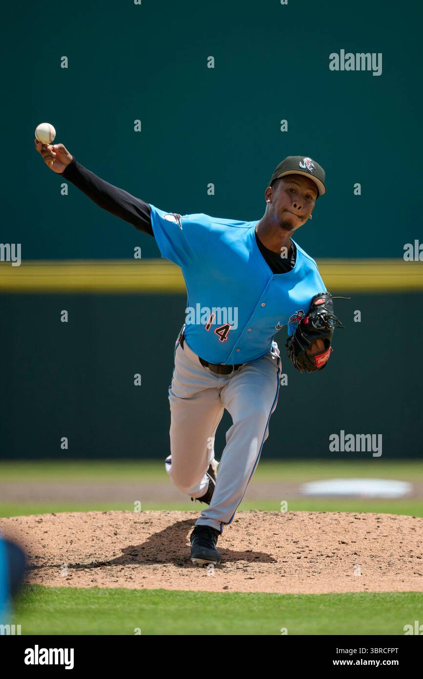 Jupiter Hammerheads pitcher Luis Ramirez (14) delivers a pitch during ...