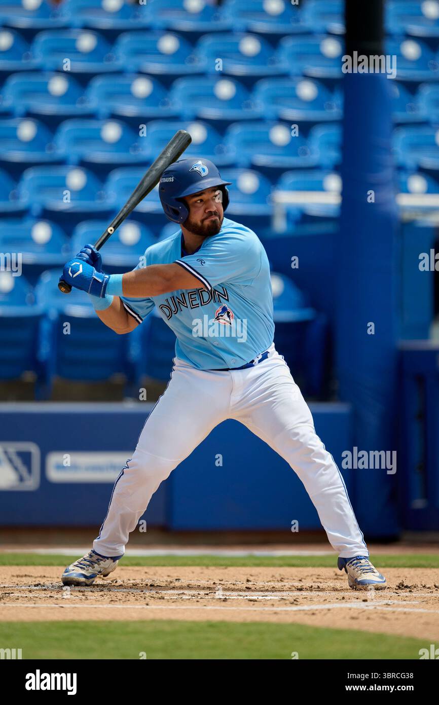 Dunedin Blue Jays Edward Duran (12) bats during an MiLB Florida State ...