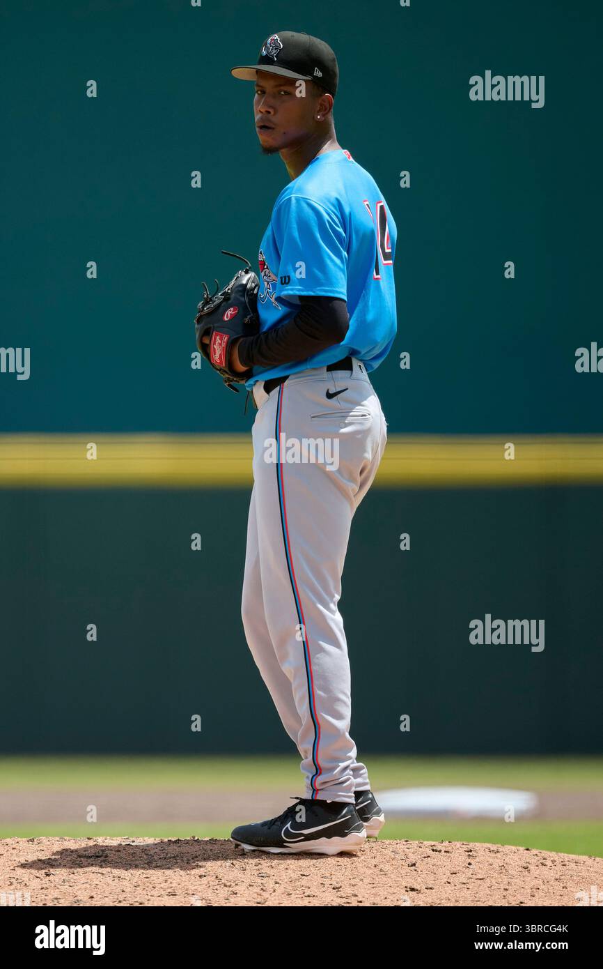 Jupiter Hammerheads pitcher Luis Ramirez (14) gets ready to deliver a ...
