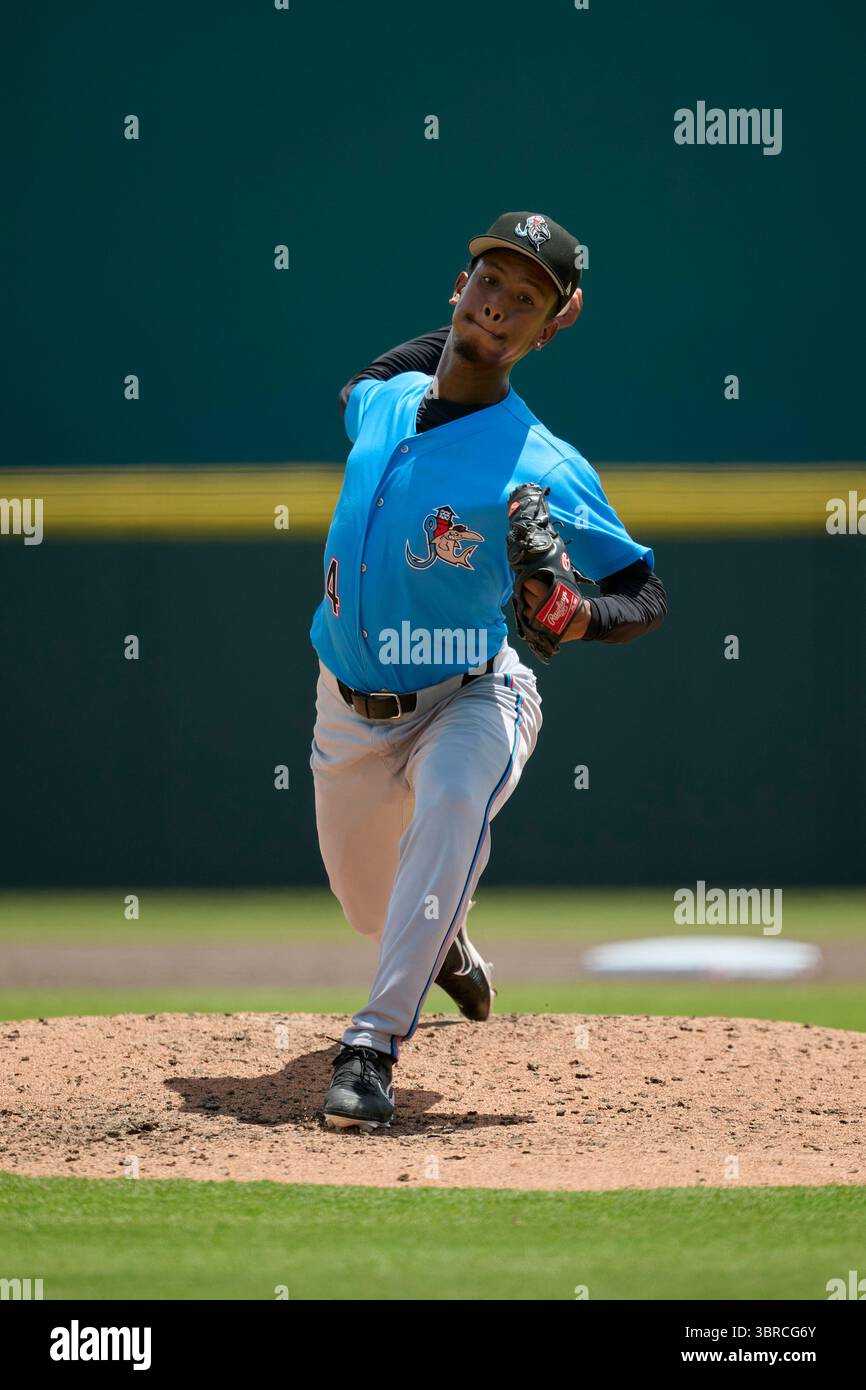 Jupiter Hammerheads pitcher Luis Ramirez (14) delivers a pitch during ...