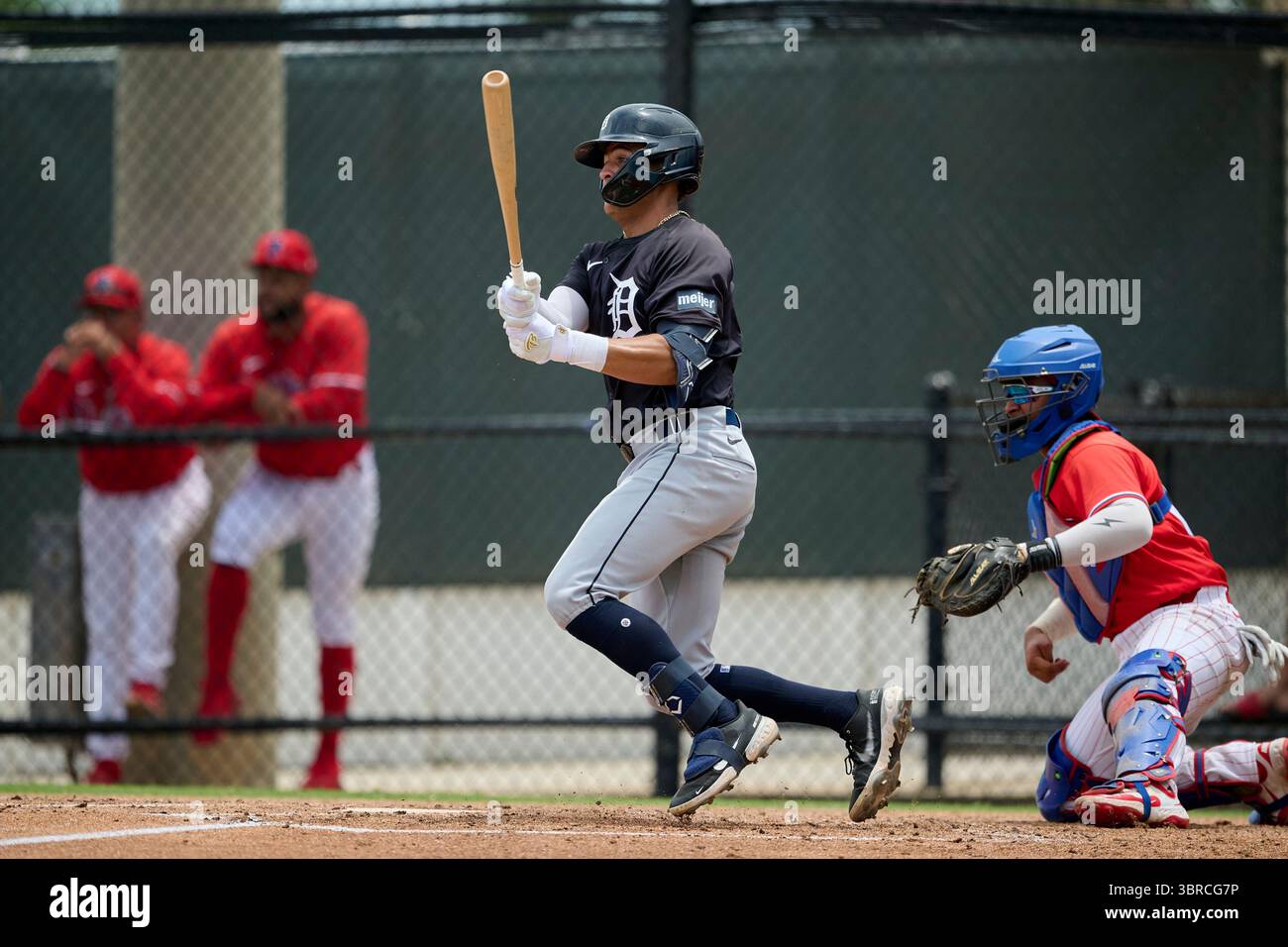 FCL Tigers Hunter Dobbins (67) bats during an MiLB Florida Complex ...