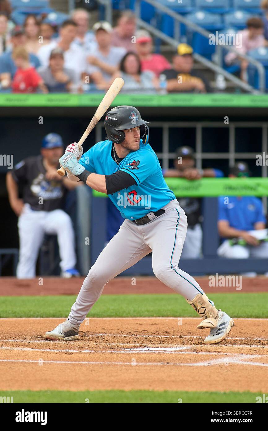 Beloit Sky Carp Gage Miller (12) bats during an MiLB Midwest League ...