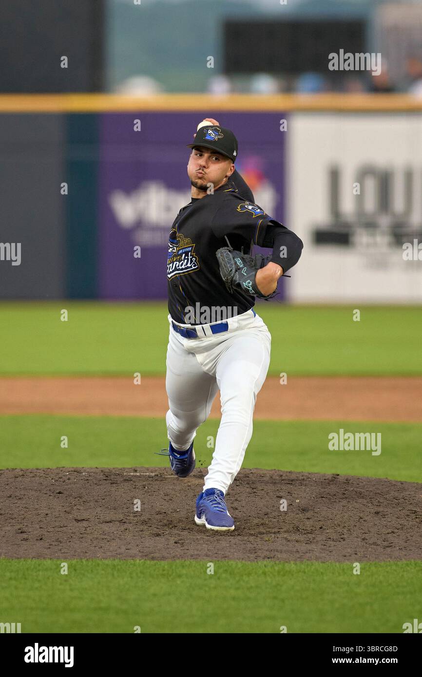 Quad Cities River Bandits pitcher Nicholas Regalado (33) delivers a ...