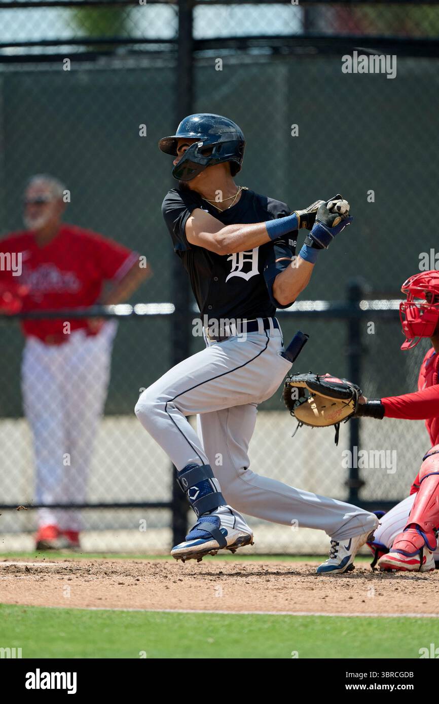 FCL Tigers Jose Dickson (81) bats during an MiLB Florida Complex League ...