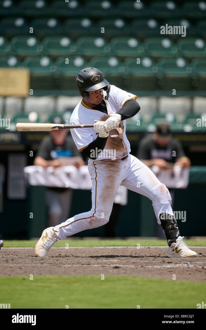 Bradenton Marauders Eddy Rodriguez (3) hits a walk-off home run during ...