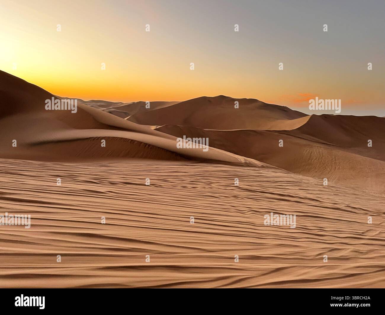 Beautiful sand dunes in desert at sunrise and golden sunset hour. Arid ...