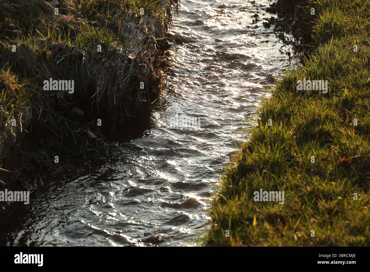 Serene creek flows through lush hi-res stock photography and images - Alamy