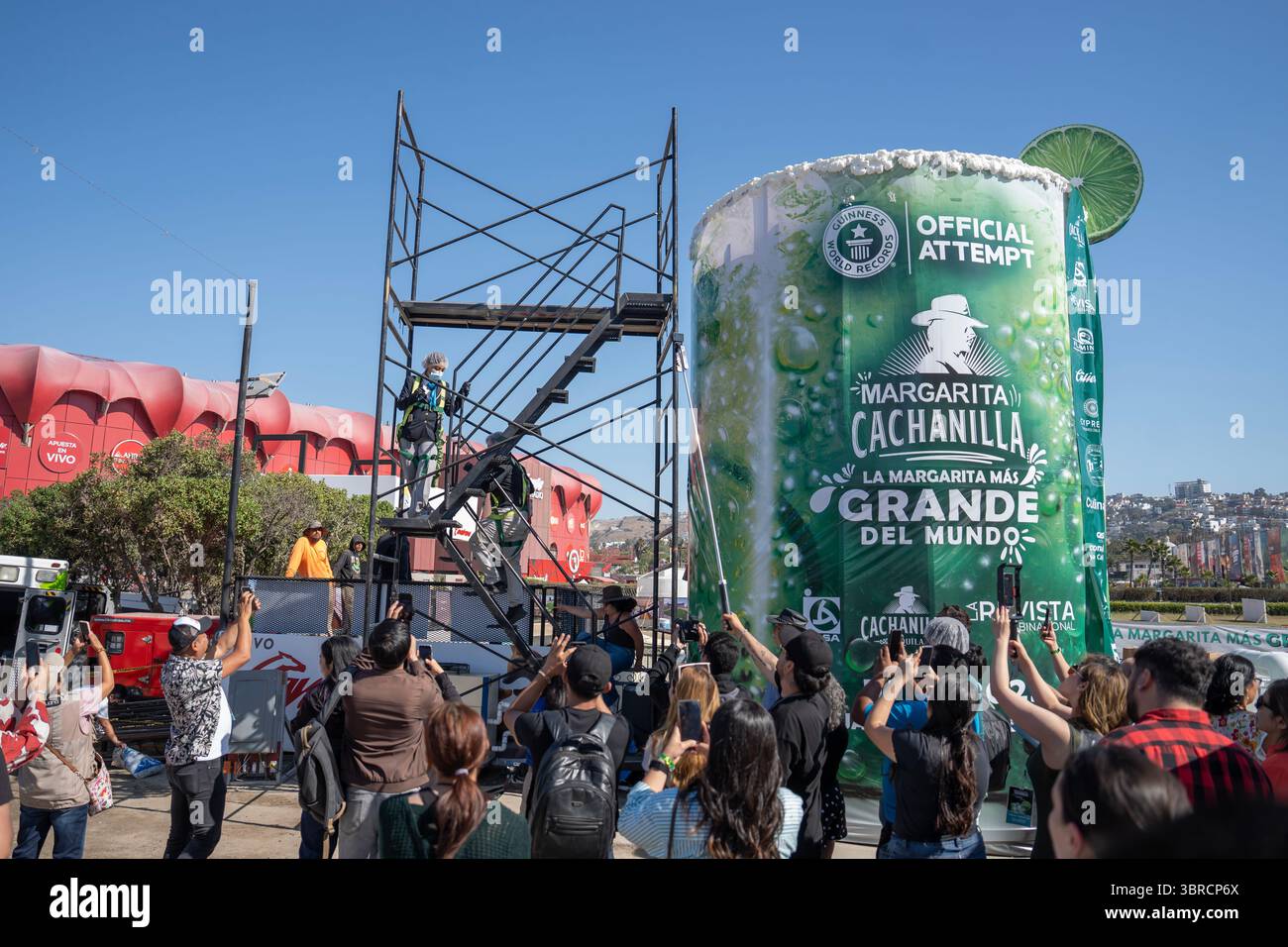 11 July 2025, Mexico, Tijuana: Guinness World Record adjudicator Susana ...