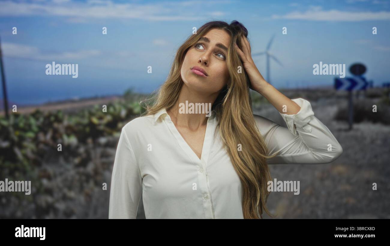 Desert cacti in dusty wind hi-res stock photography and images - Alamy
